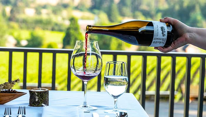 Dundee Hills Wine Experience Options On-Site